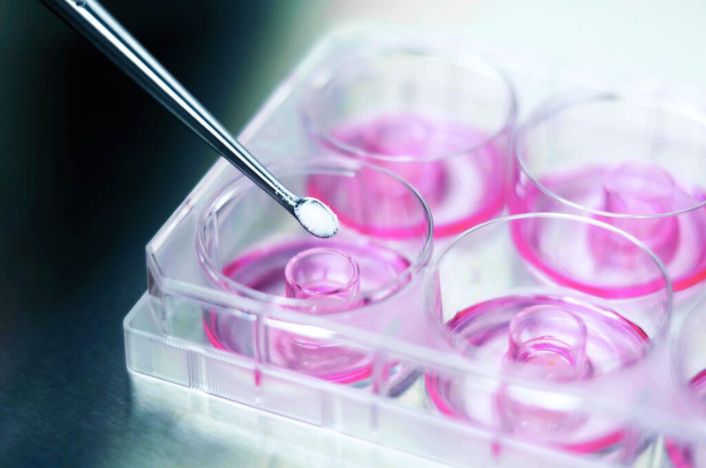 BICO products at a glance - BICO - The Bio Convergence Company