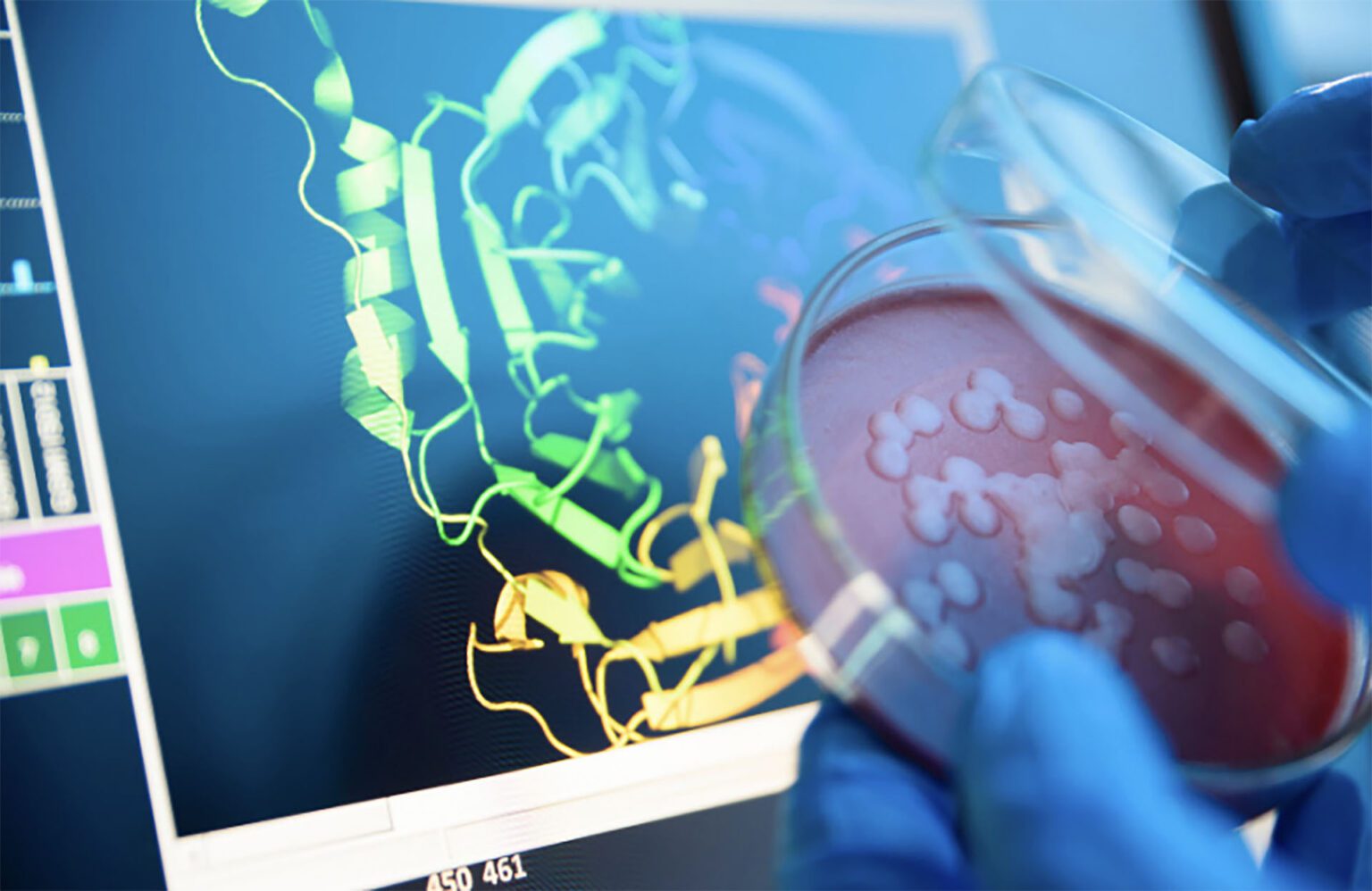 Automating protein purification to accelerate antibody discovery - BICO