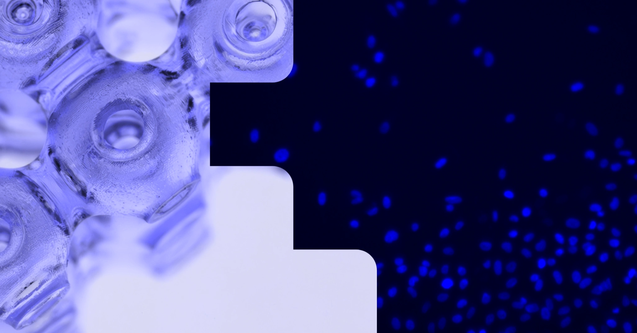 3D Cell Culture & Bioprinting - BICO